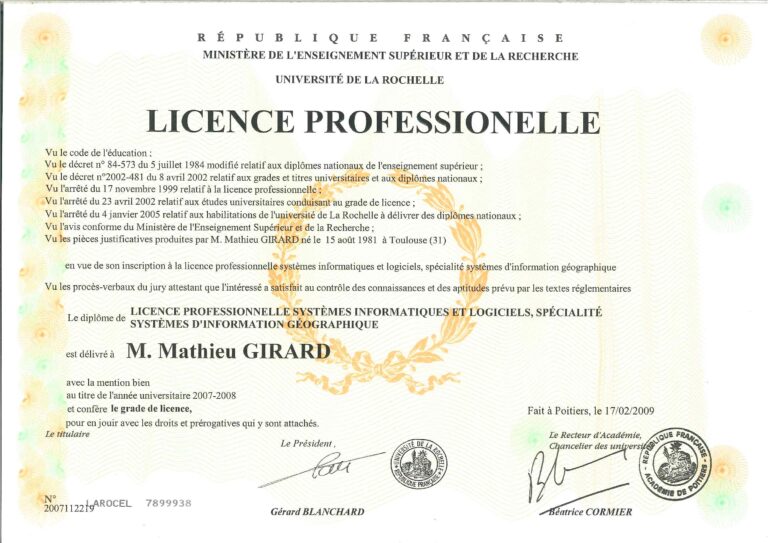 Mathieu Girard - Expert SIG et Géomaticien